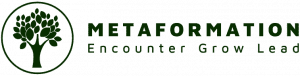 MetaFormation – Encounter Grow Lead